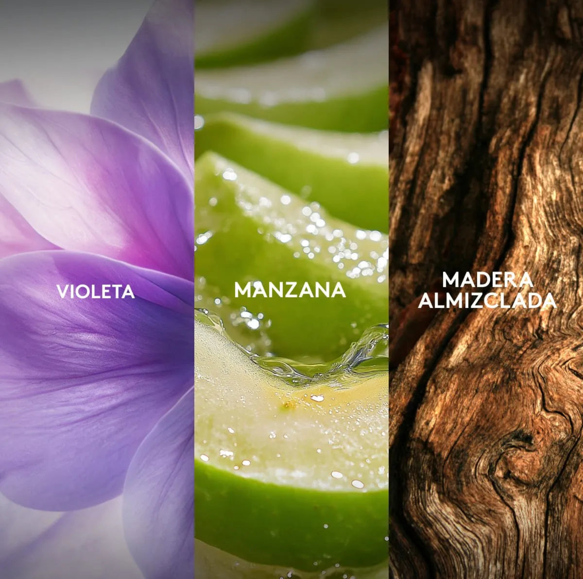 Aura Lila Esika – LoveHouseMx